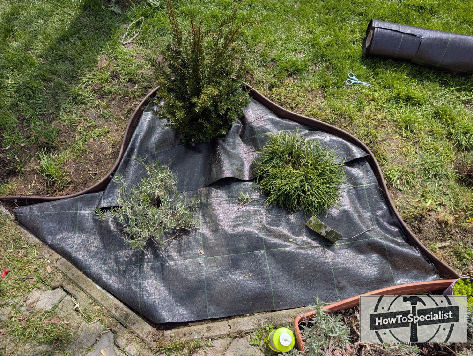How to Make a Simple Accent Area in Your Lawn with Mulch, Stones, and ...